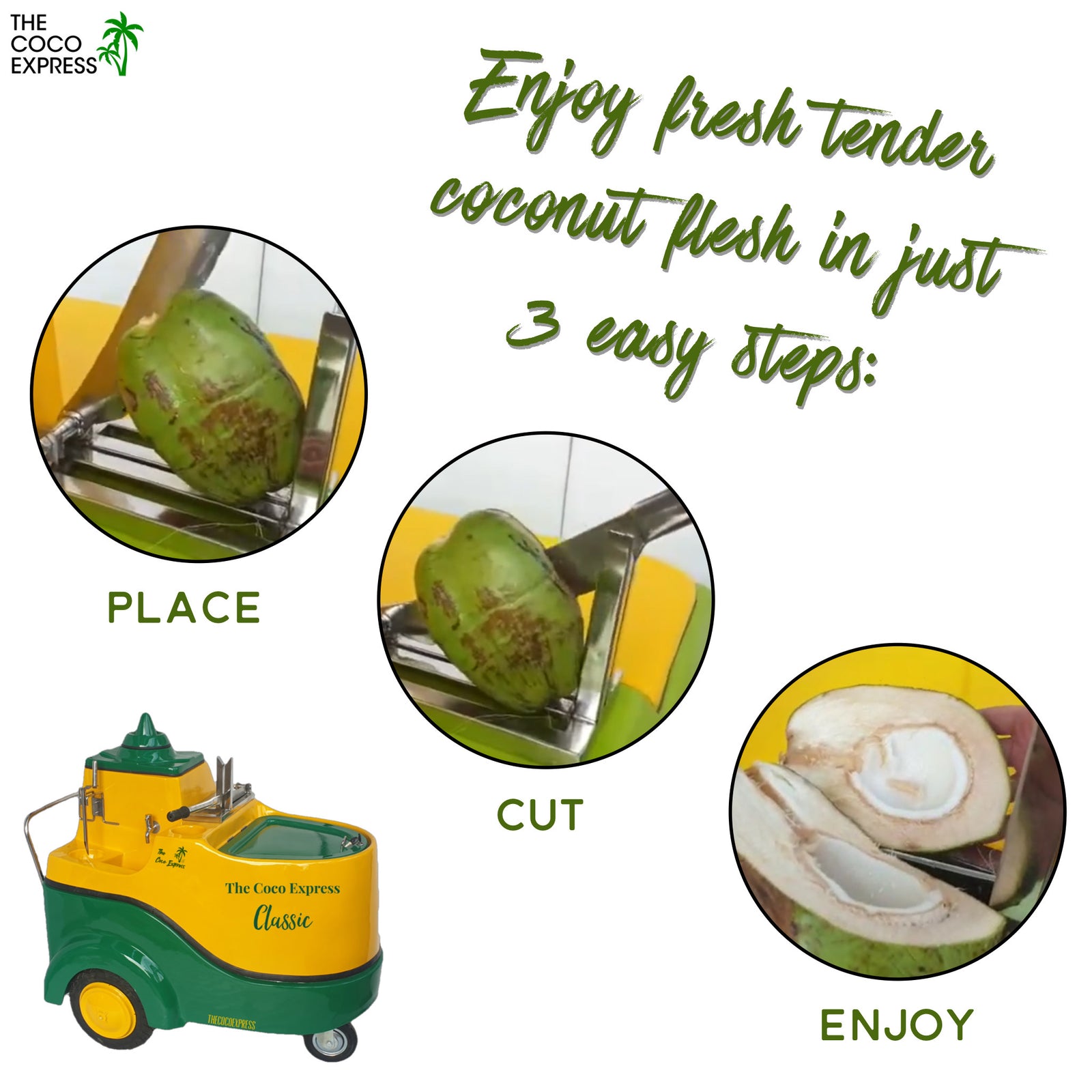 Classic Coconut Water Cart | Attractive Coco Express Cart!